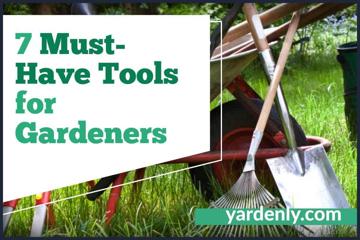 7 Must-Have Tools for Gardeners