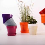 Best Color Combinations For Flower Pots
