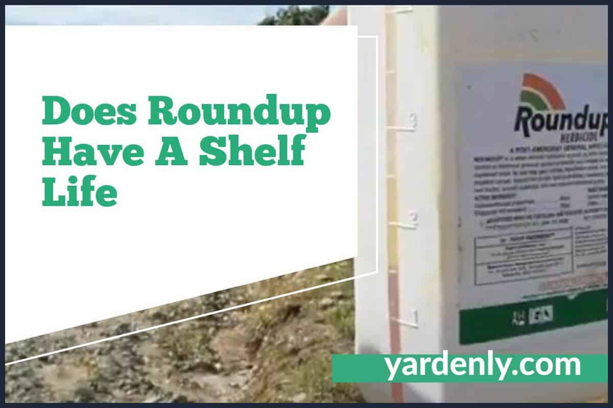 Roundup Shelf Life