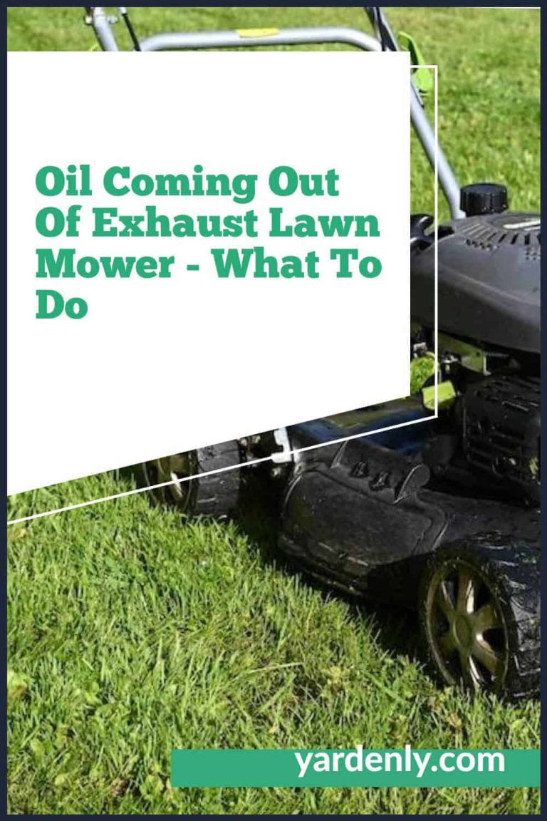 Oil Coming Out Of Exhaust Lawn Mower - What To Do