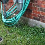 Complete Guide: Correct 2,4-D Amine Herbicide Rate & Application