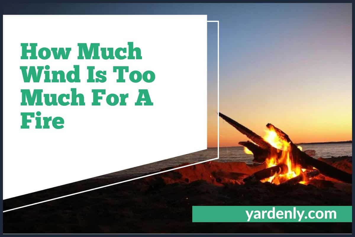 Determining When It’s Too Windy For A Fire: Campfires & Fire Pits