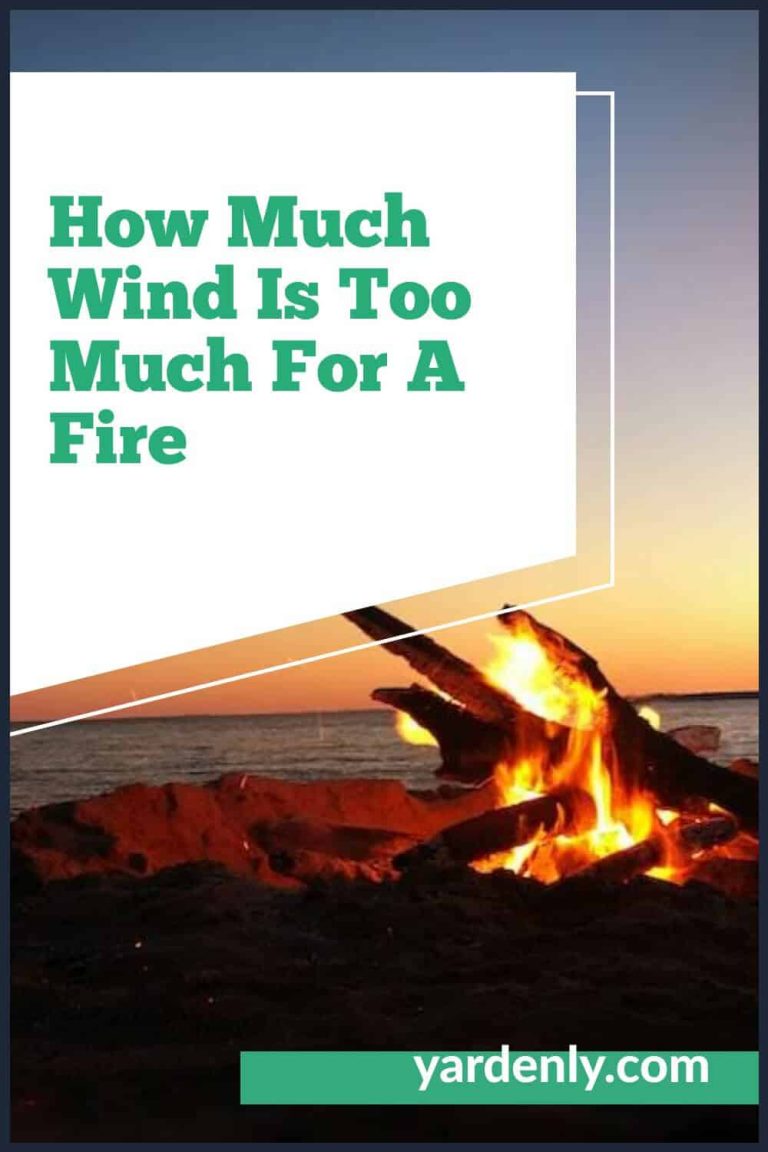 Determining When It’s Too Windy For A Fire: Campfires & Fire Pits