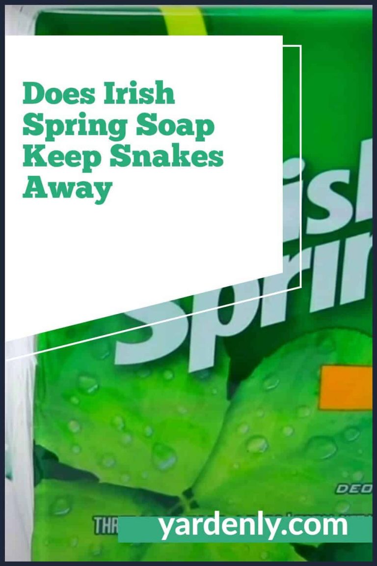Does Irish Spring Soap Repel Snakes? A Comprehensive Guide