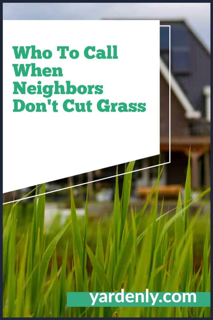 How to Deal with a Neighbor’s Overgrown Lawn: A Guide