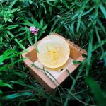 Does Irish Spring Soap Repel Snakes? A Comprehensive Guide