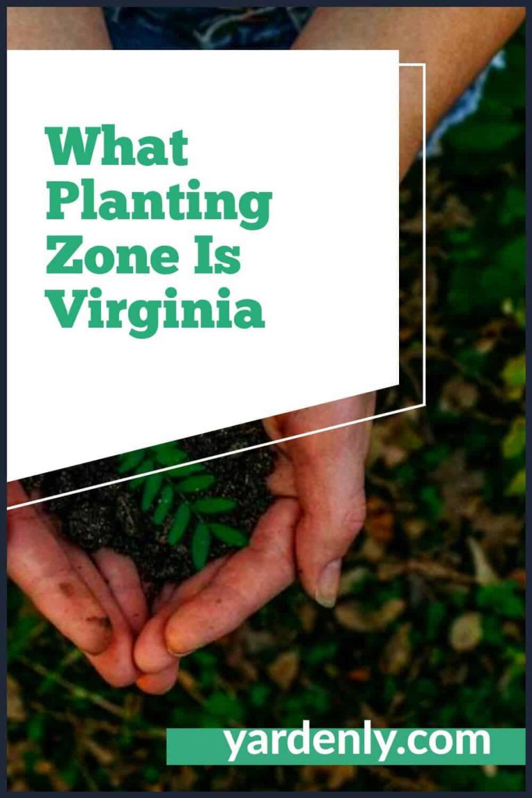 Comprehensive Guide to USDA Planting Zones in Virginia